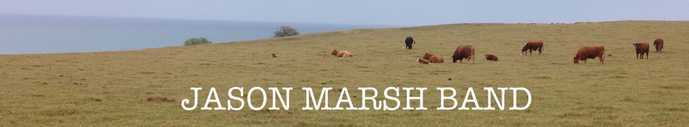 Try | Jason Marsh Band