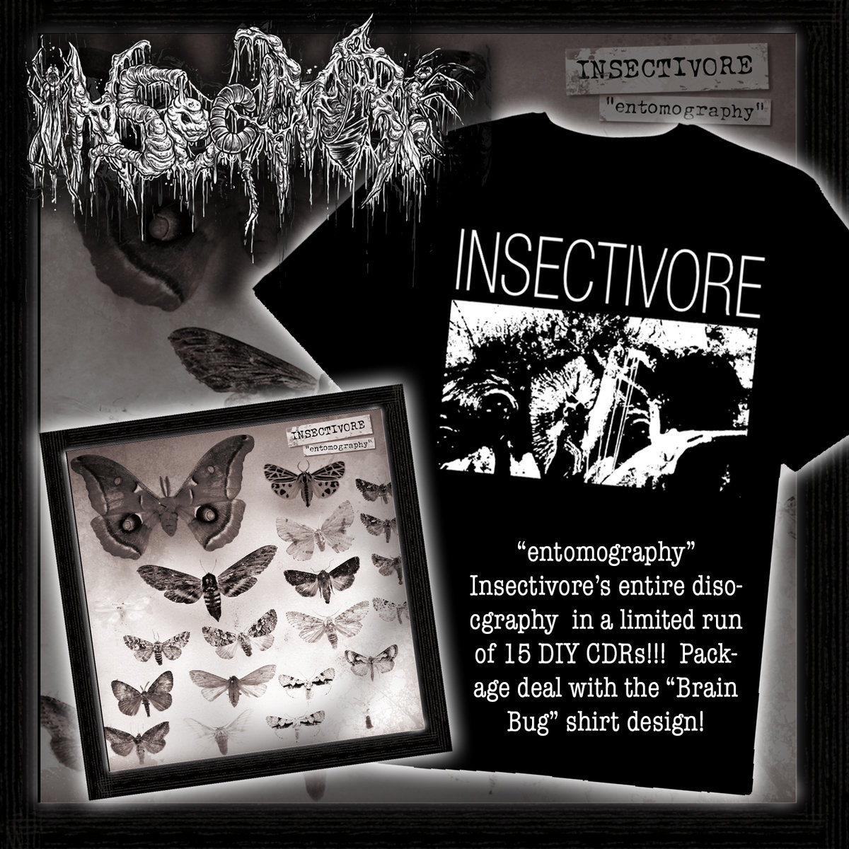Insectivore-Entomography | Insectivore | GruesomeGraphx