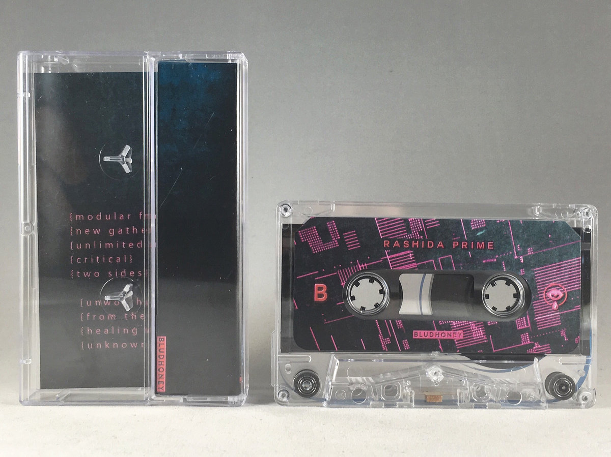 Damaged Interface | Rashida Prime | BLUDHONEY RECORDS