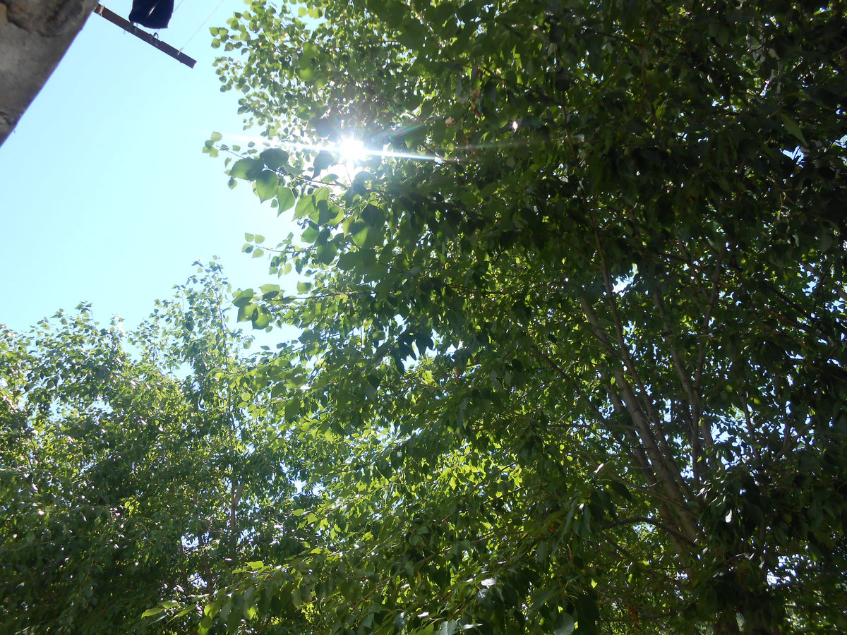 The Realm of Ideas | Aneyo