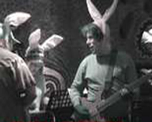 Music For The Integrity Tone Scale | The Experimental Bunnies