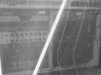 Artists | Forest Ray Records
