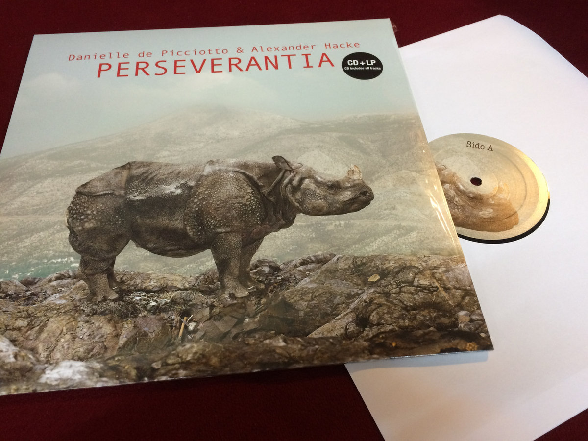 PERSEVERANTIA | hackedepicciotto