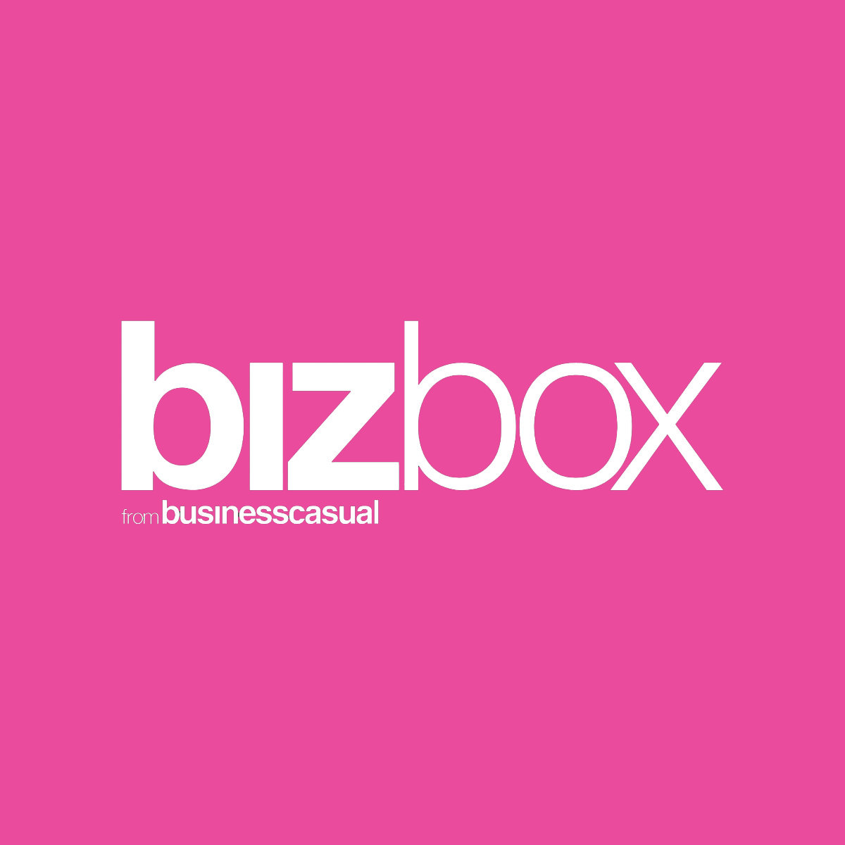 BIZBOX #2 '2013' (Limited Edition) | business casual