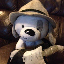 waynelchappell's collection | Bandcamp