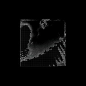 Music | Brandon Fernandez