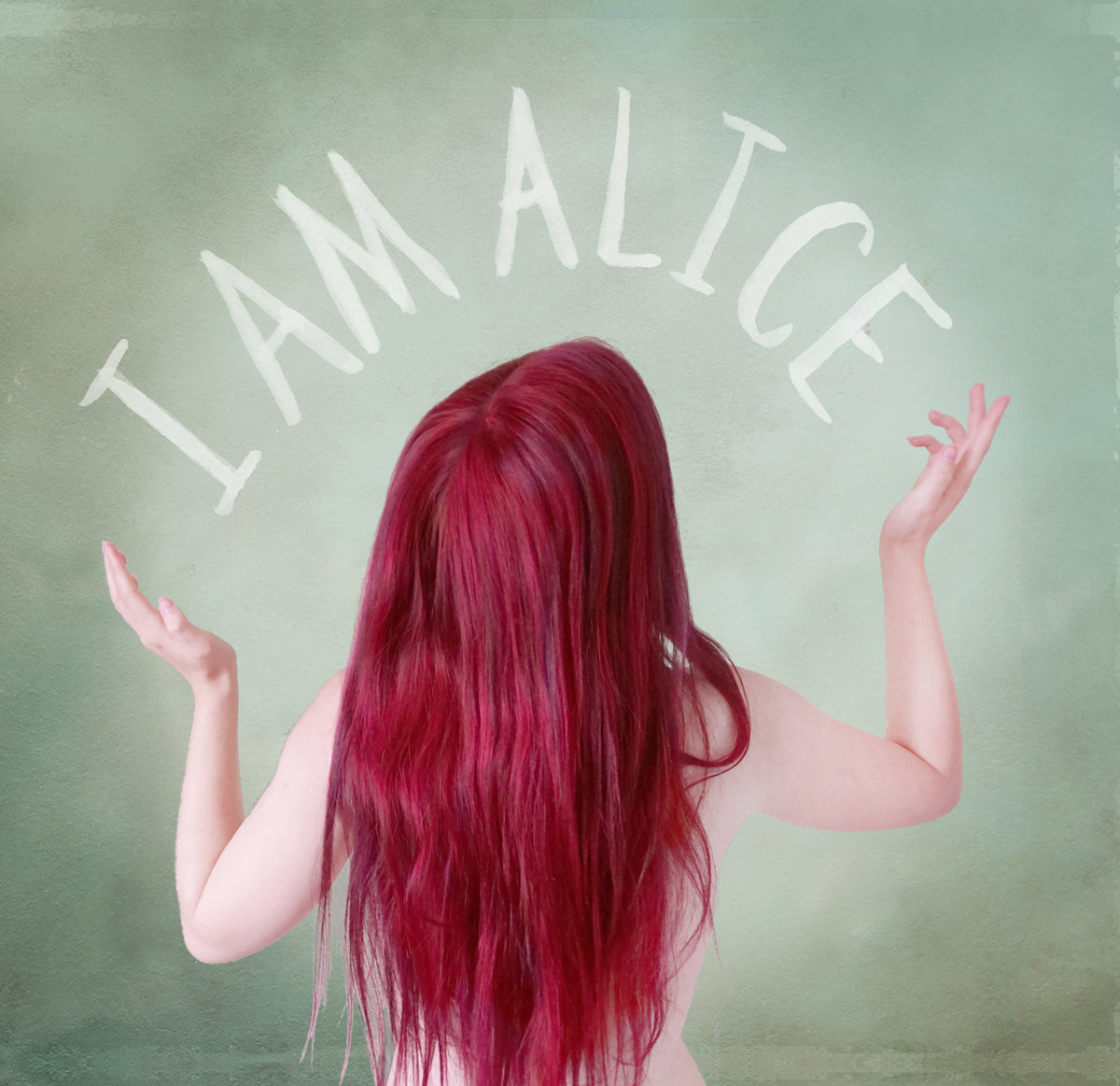 Moth and the Meteor | I am Alice