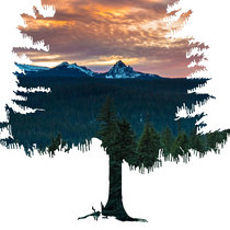 tremblay_alexis' collection | Bandcamp