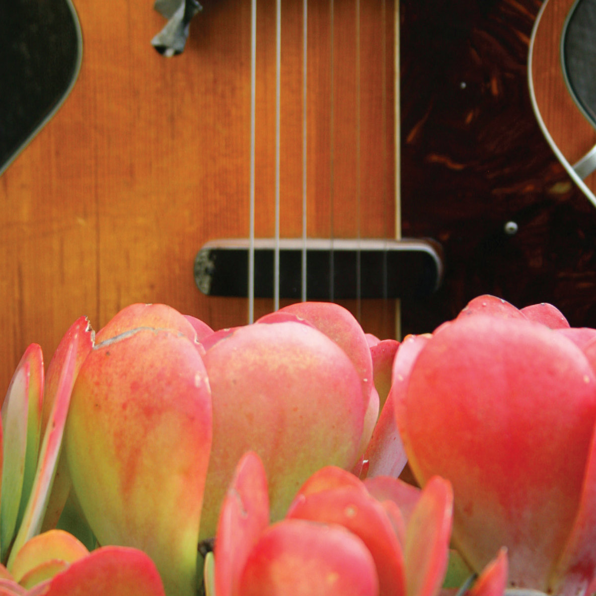 Pesky Bones Volume One | Peter Farnan