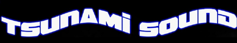 Merch | Tsunami Sound System