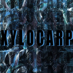 Music | Xylocarp
