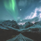 First Light [EP] | The Legendary House Cats