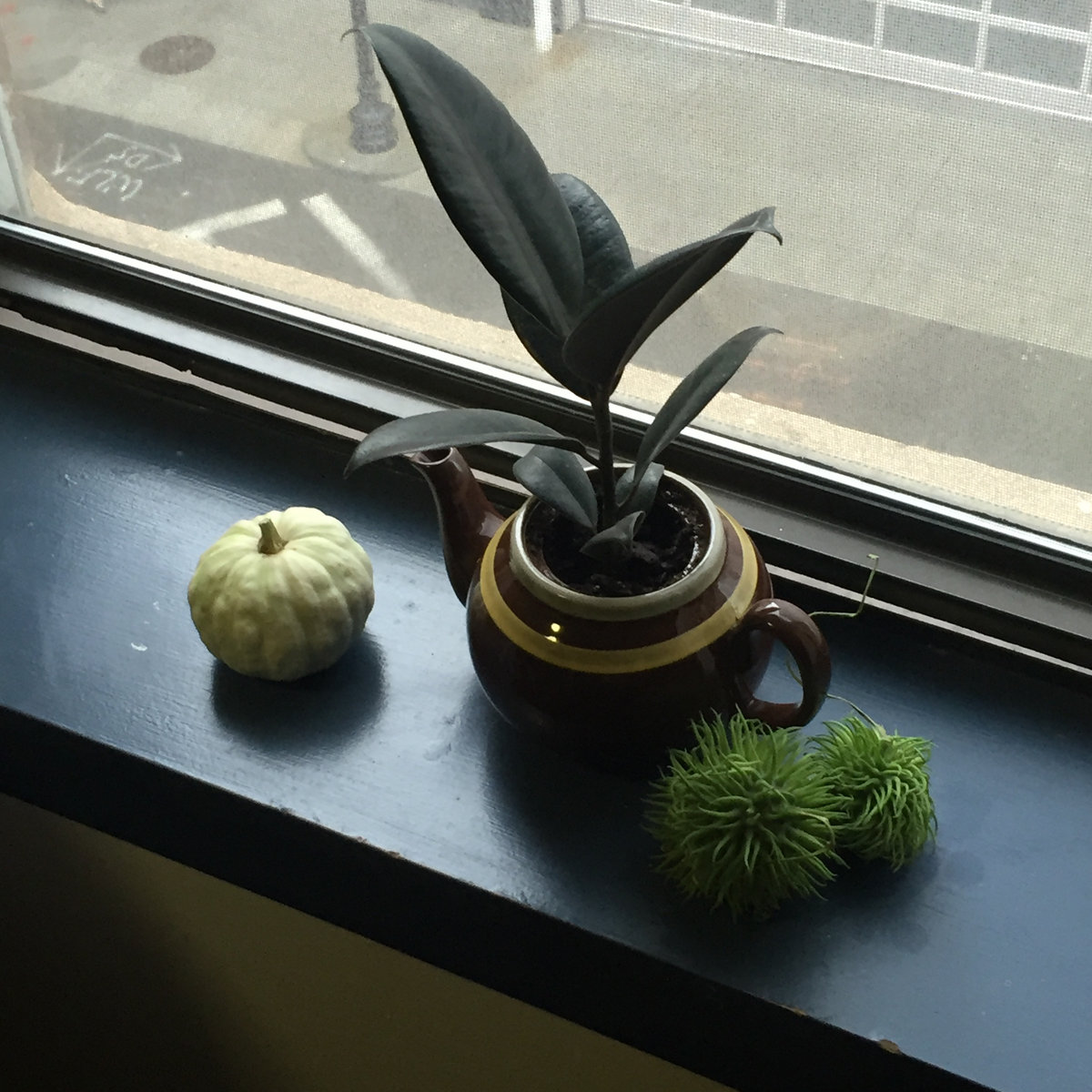 Broken Toast | Bruise Matriarch | Valerie Flor