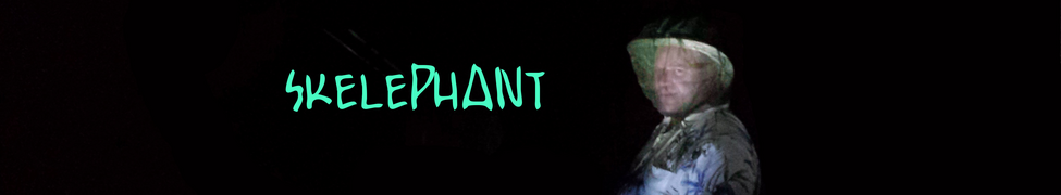 People Are Machines | Skelephant