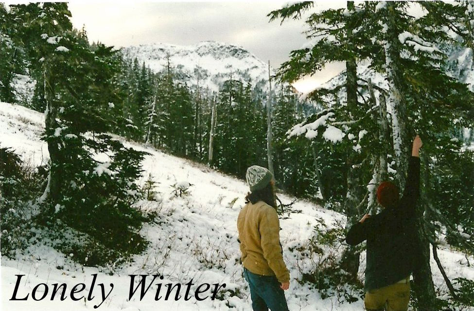 openness and freedom | Lonely Winter