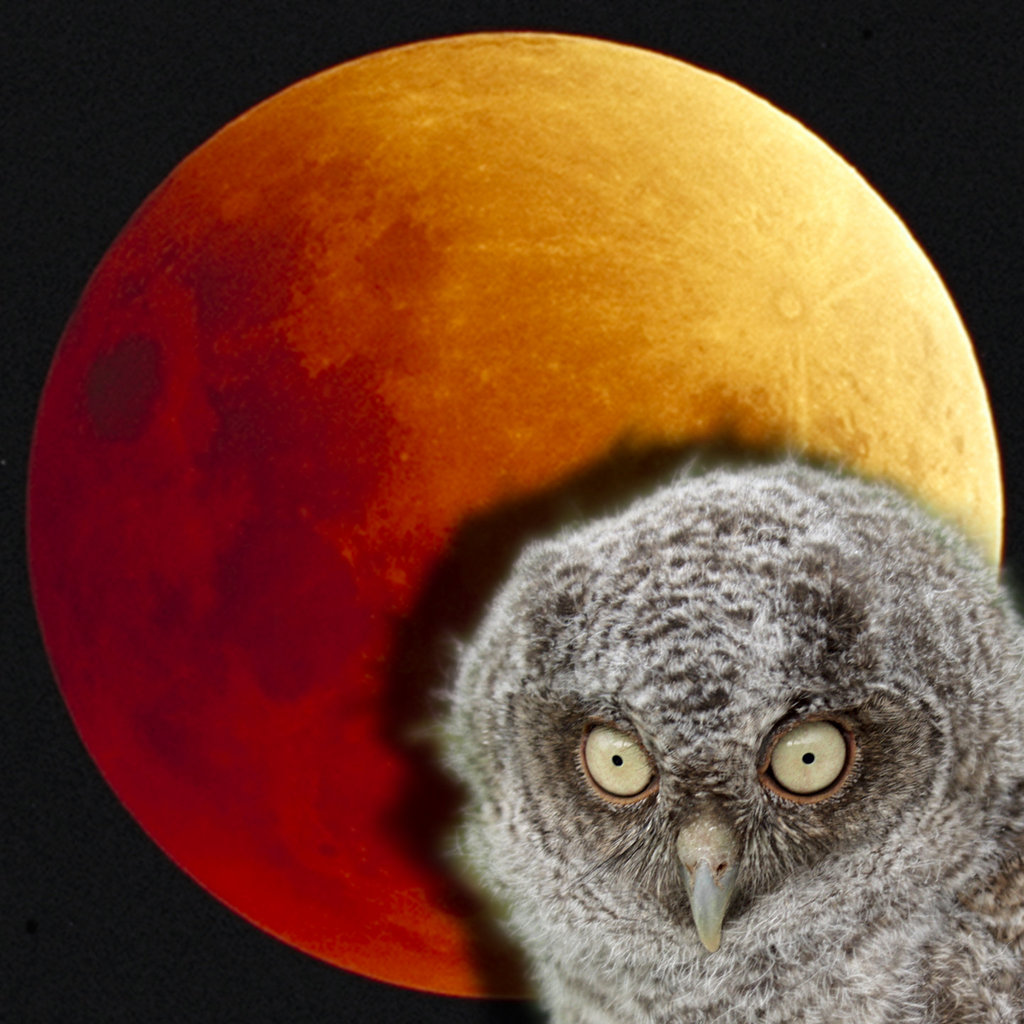 ericghost's collection | Bandcamp