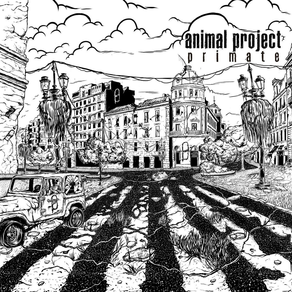 primate | animal project