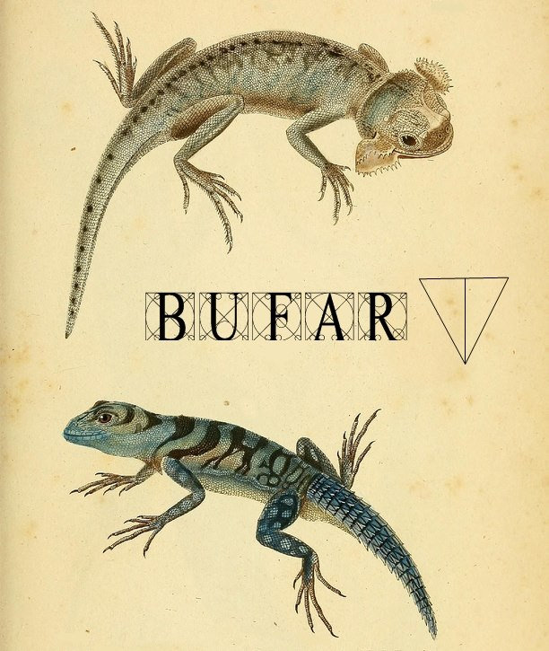 Gemini II | Bufar | Bufár