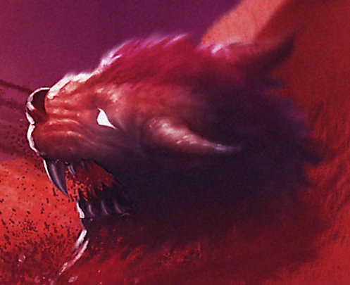 VHS Collection | Arc Neon