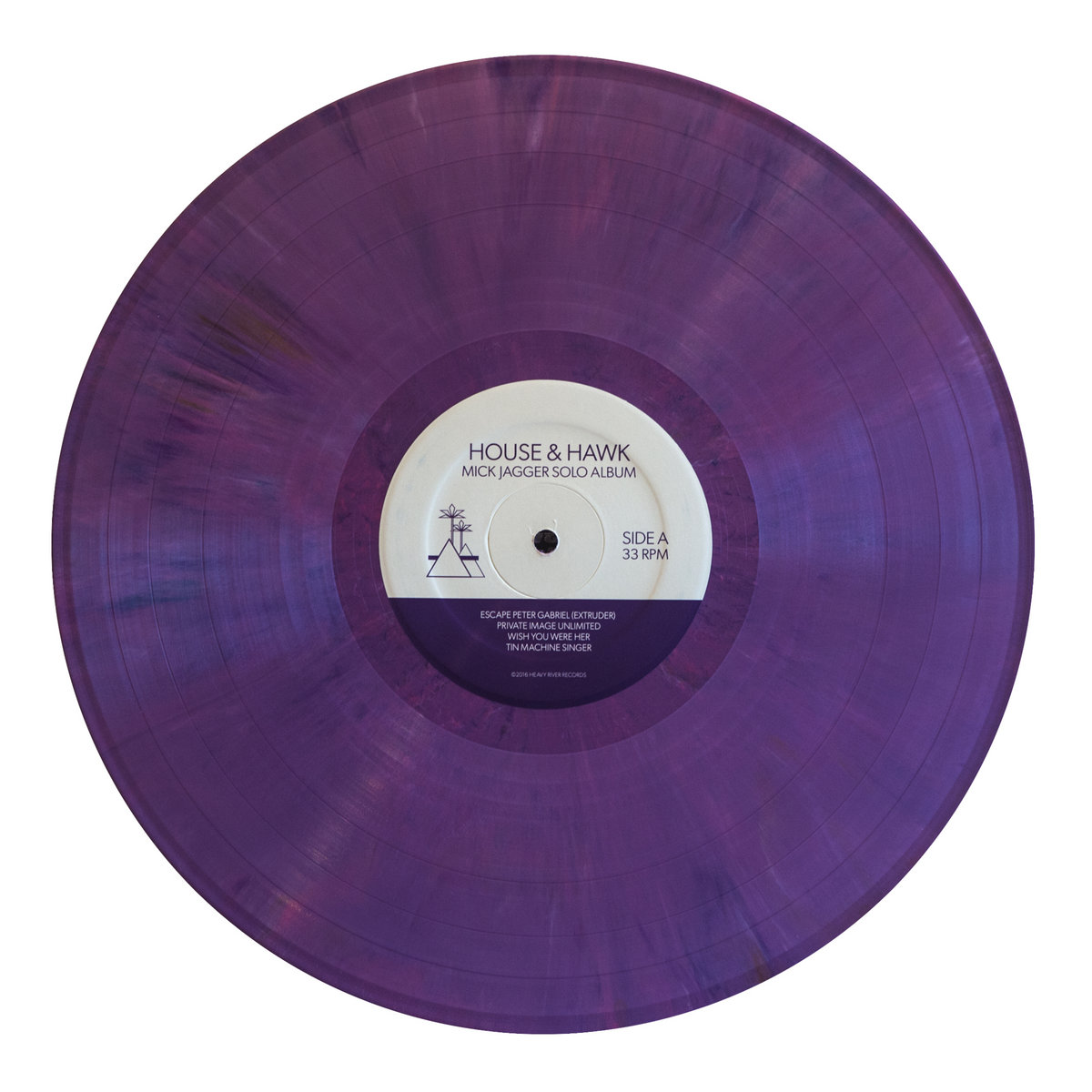 Mick Jagger Solo Album | House & Hawk