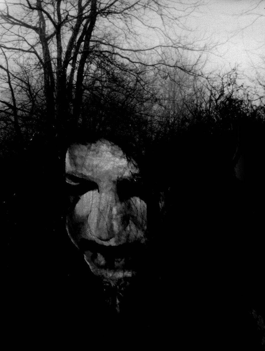 Wolf Cult | Suhgurim