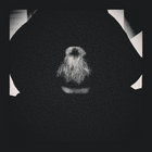 Ghostwood | TAPHEPHOBIA | Cyclic Law