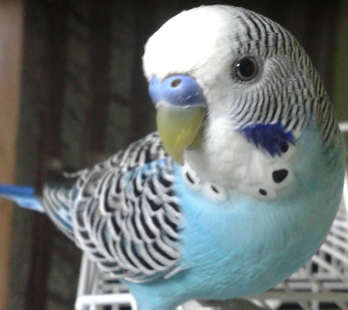 From The Earth | Sam Rafuse