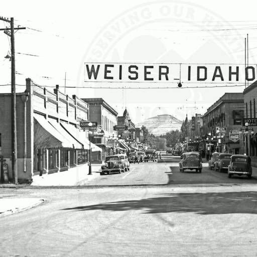 Wednesdays | Ori Weiser | Weiser