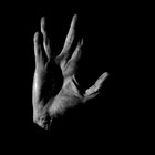 Congregate | Forest Swords