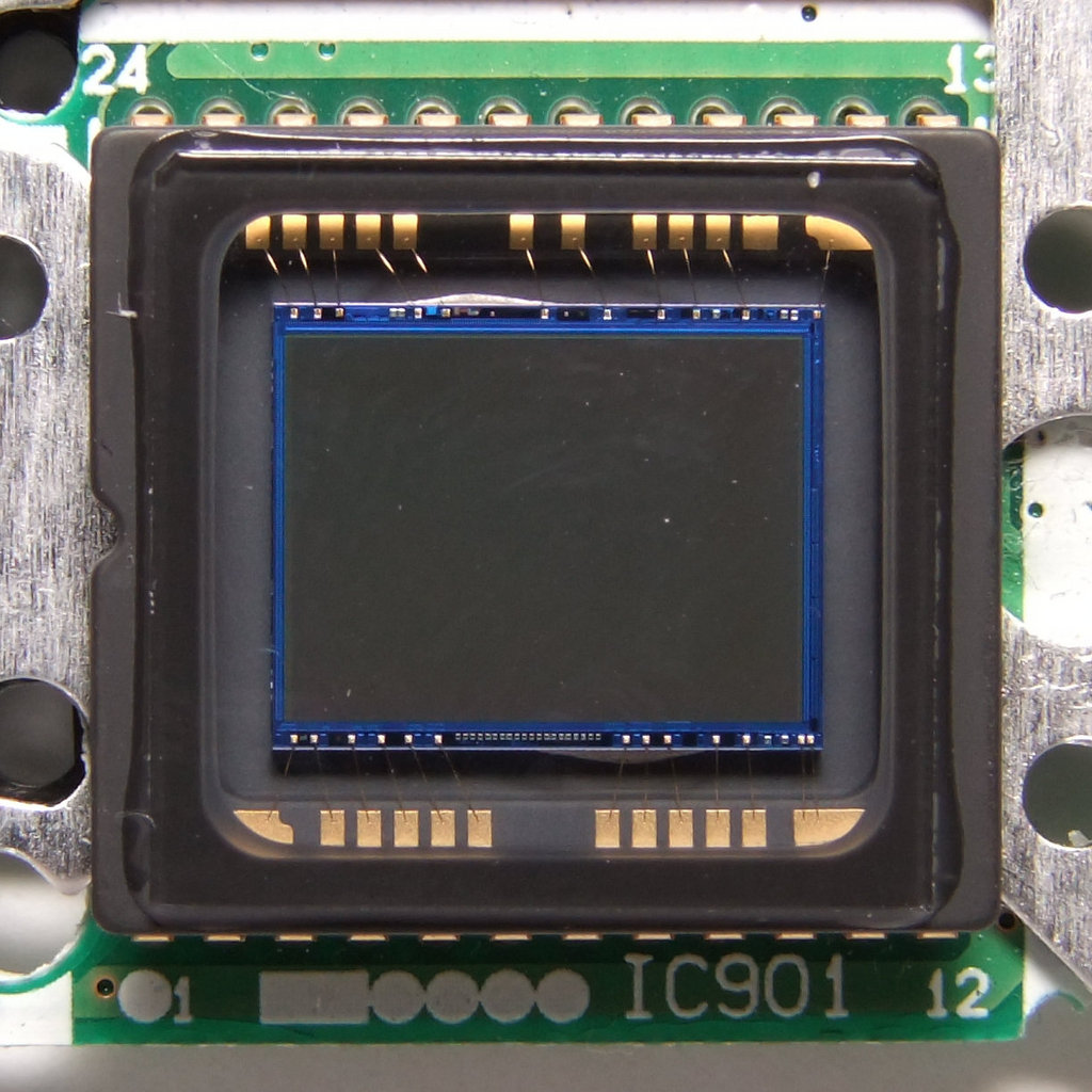 viperfang's collection | Bandcamp