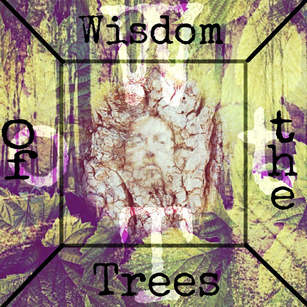 1 | Wisdom of the Trees