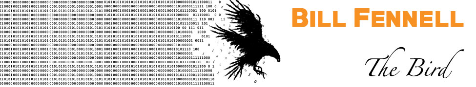 The Bird | Bill Fennell