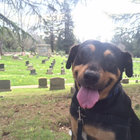 WHAT A GREAT PLACE TO BE | Sumner McKane