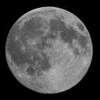 Winter Embrace (15th Anniversary Edition) | Altus | Altus Music