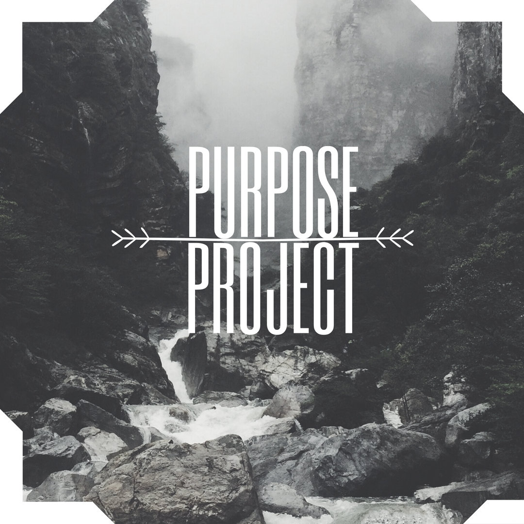 Purpose Project | Purpose Project