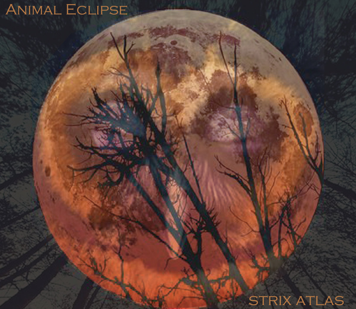 Strix Atlas | Animal Eclipse