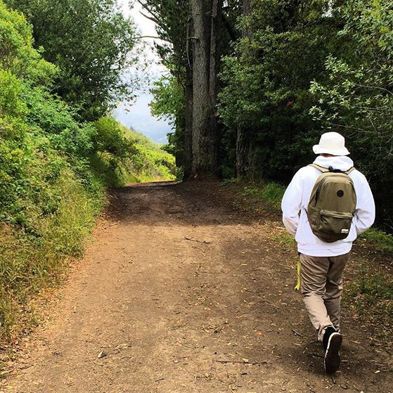 Optimo | Blunt Sanitizer