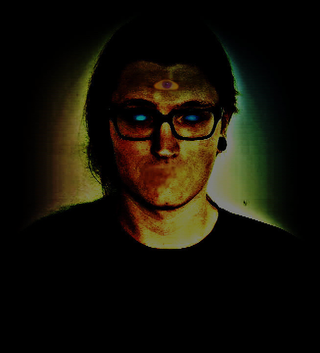 Sunflowers At Night | The Death Delusion