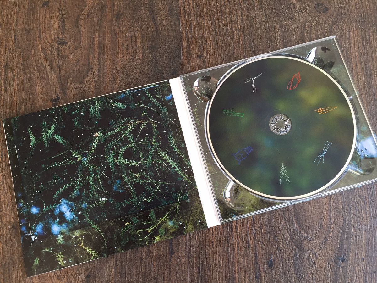 Fracture | Jake Downs | Vox Humana Records