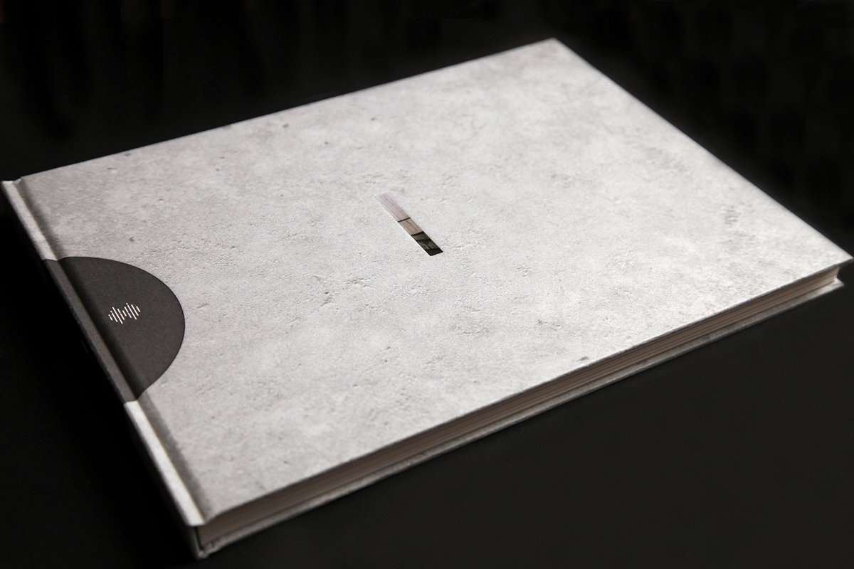 Complete Package : Vinyl + Fine Art Book - Alveare | IIKKI