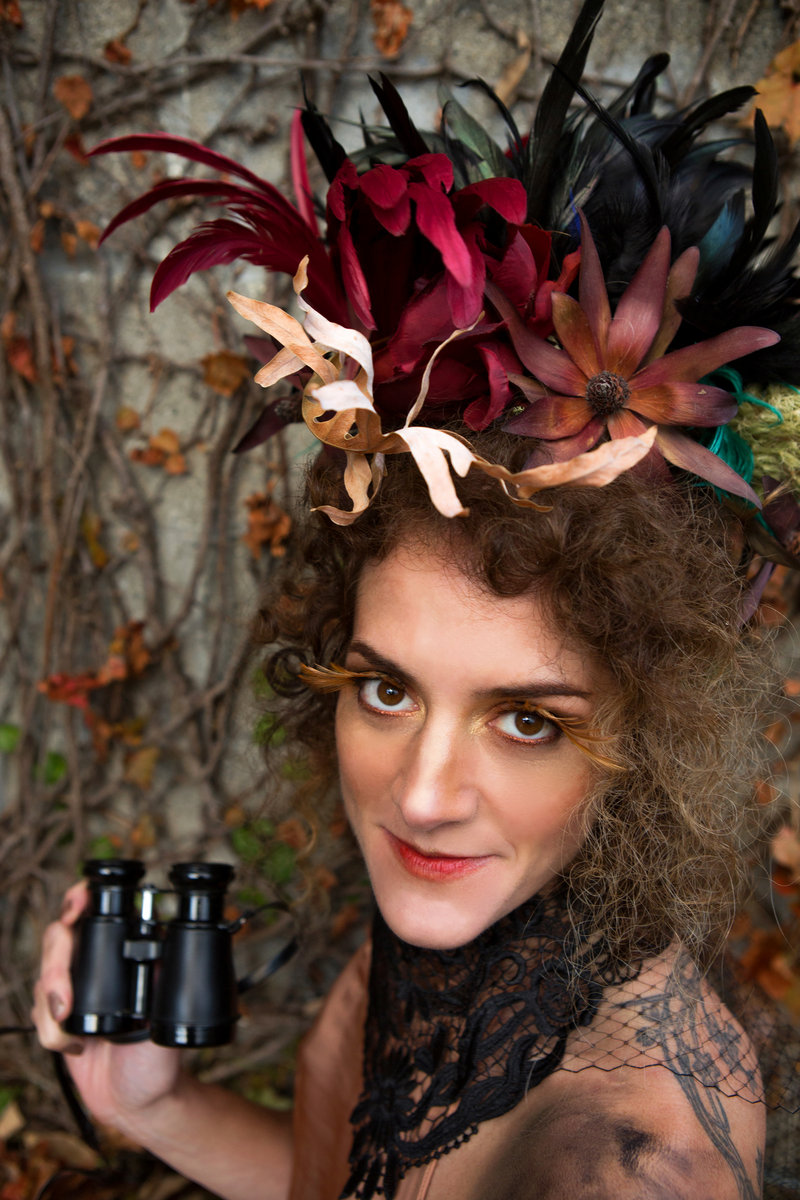 Secrets of Birds | Hilary Downes