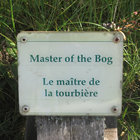 PUNCH/LOMA PRIETA Split | PUNCH