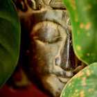 Morphogenesis | Steve Coleman