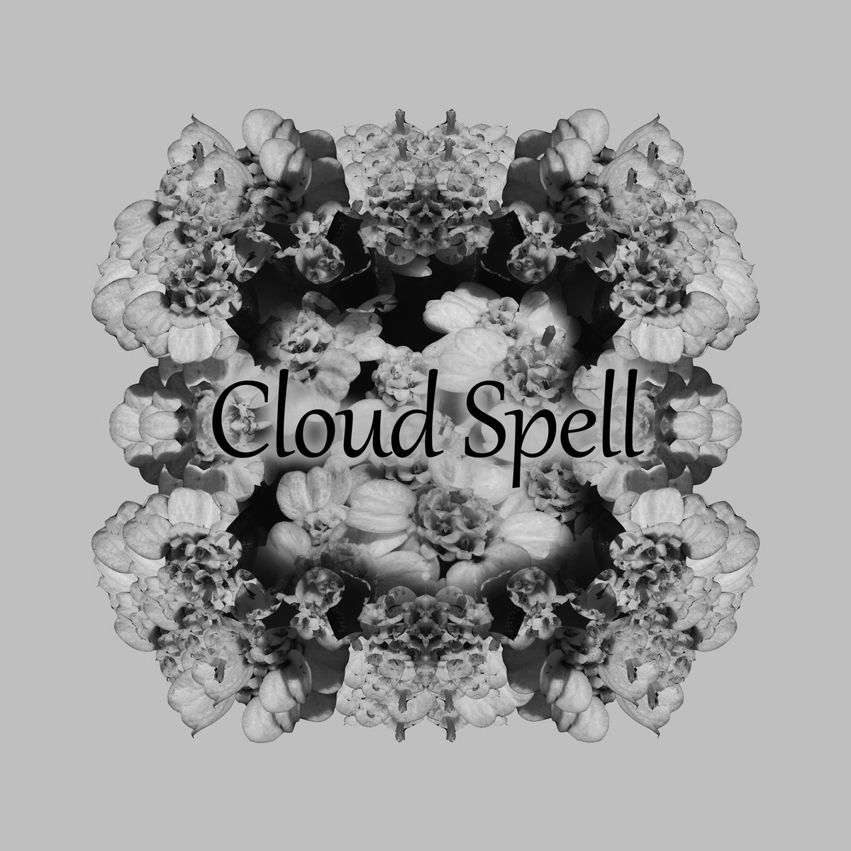 Yarrow | Cloud Spell