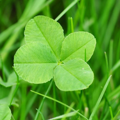 neildimmick's collection | Bandcamp