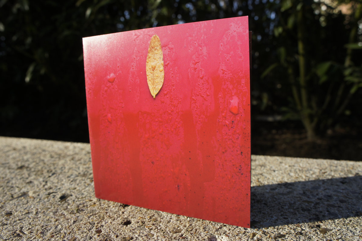 The Beauty and the Rage | antrabata | Antrabata