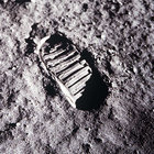 Timeless | Desired | Neoncity Records