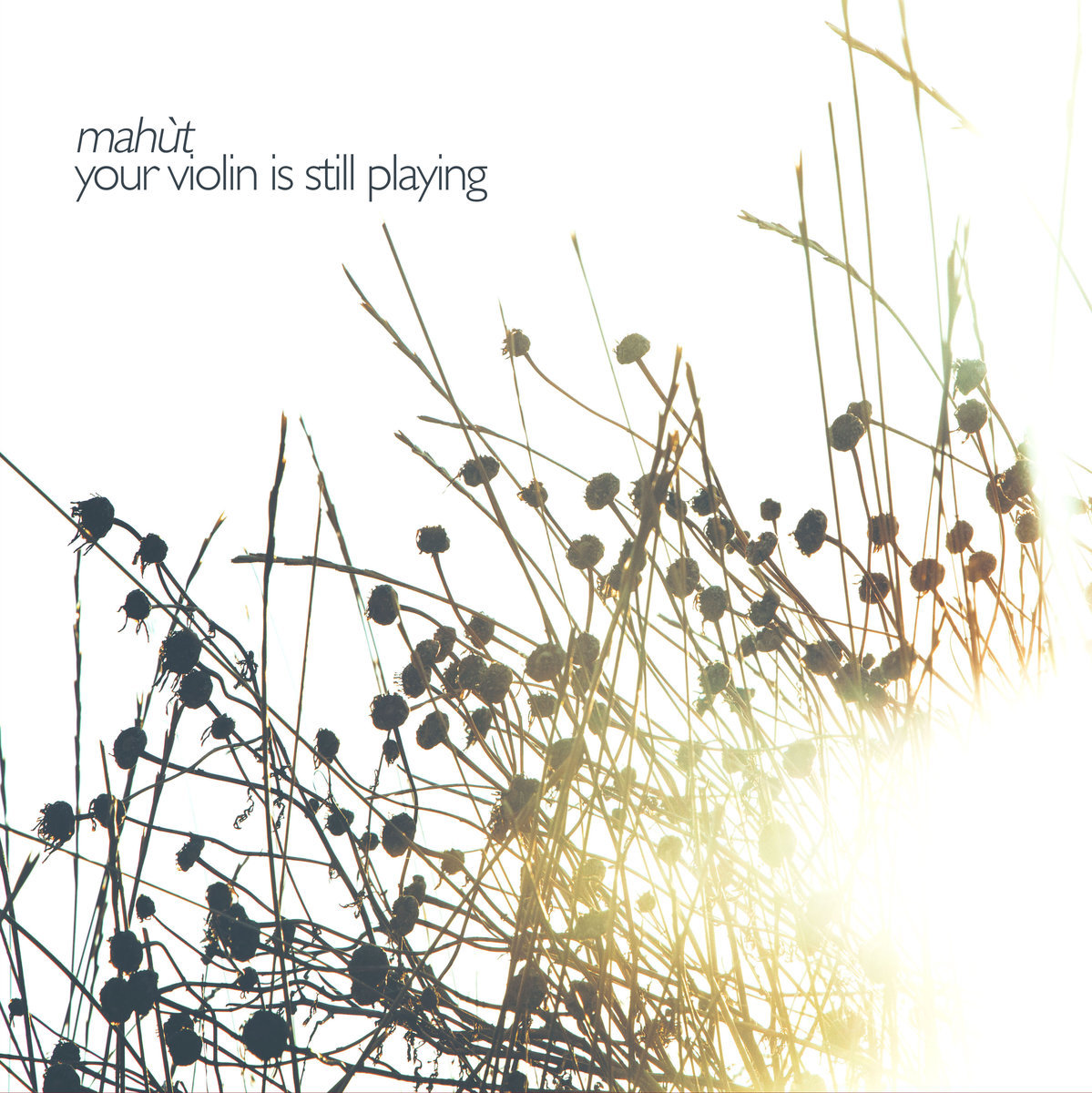 Your violin is still playing | Mahùt