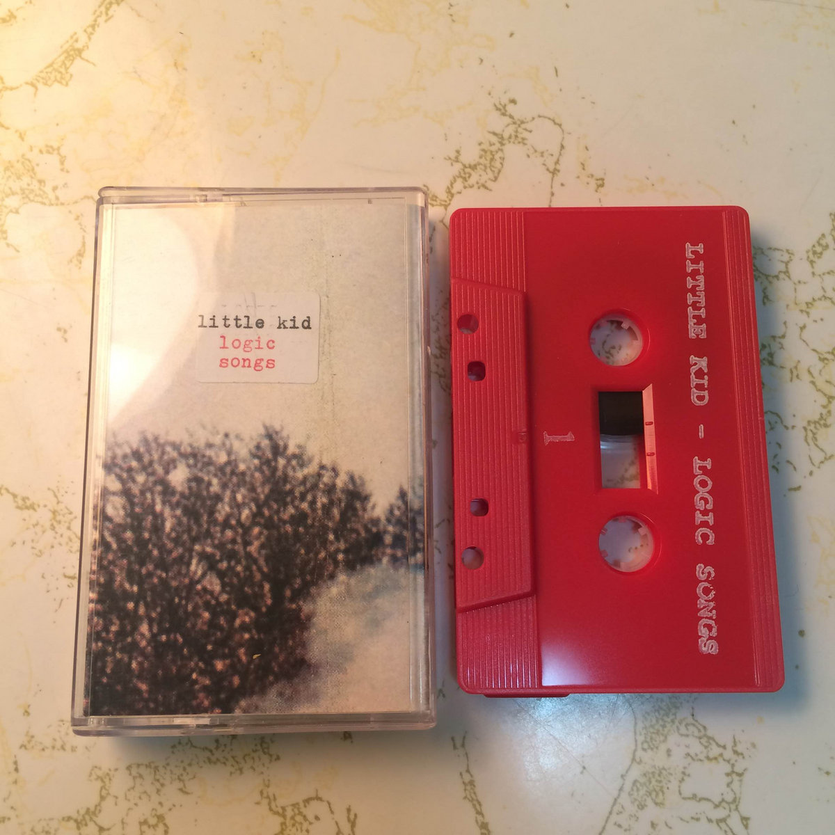 Logic Songs | Little Kid