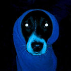 Eternity (Earth Version) | EMIKA